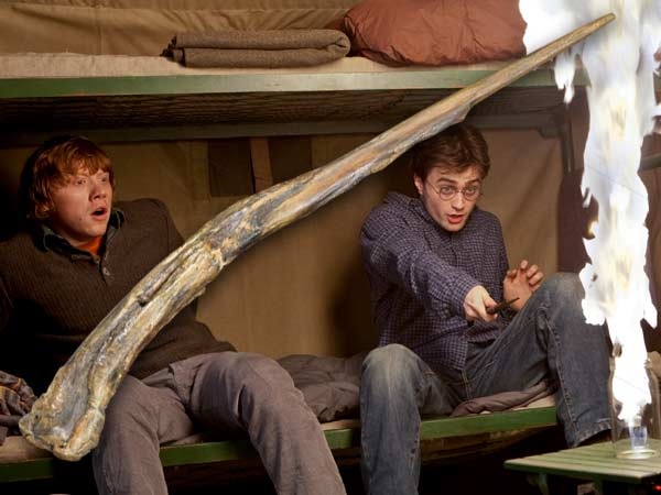 Blackthorn Wand Harry Potter Wiki
