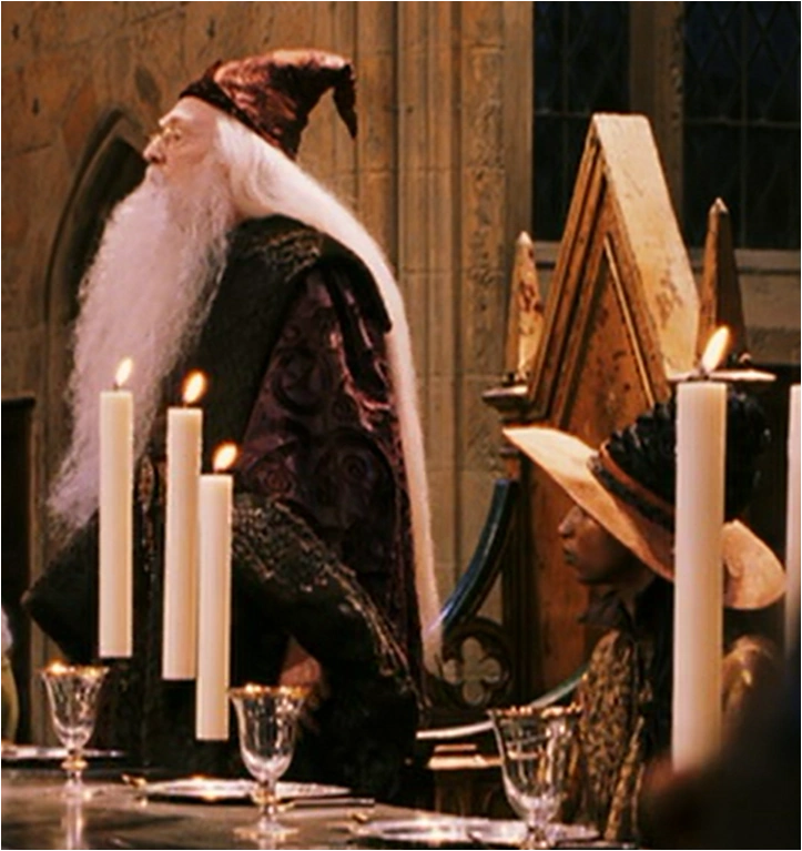 Sinistra Harry Potter