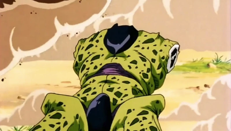 If Broly was part of the Z Warriors during the fight against Cell, what ...