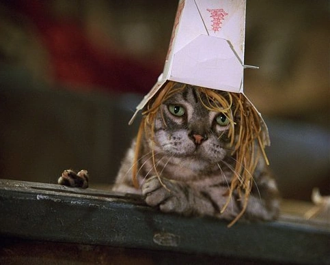 Monty - Stuart Little Wiki