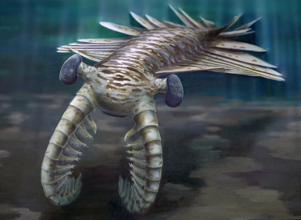 Radiodonta - Anomalocaris - The ZT2 Round Table