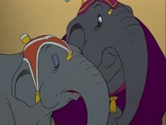 Dumbo Matriarch