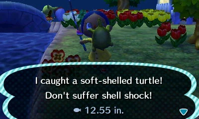 Soft-shelled Turtle - Animal Crossing Wiki